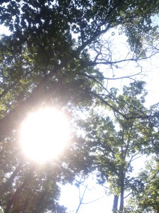 Thursday Thealogy: Goddess as Symbol, Statement, and Experience ...